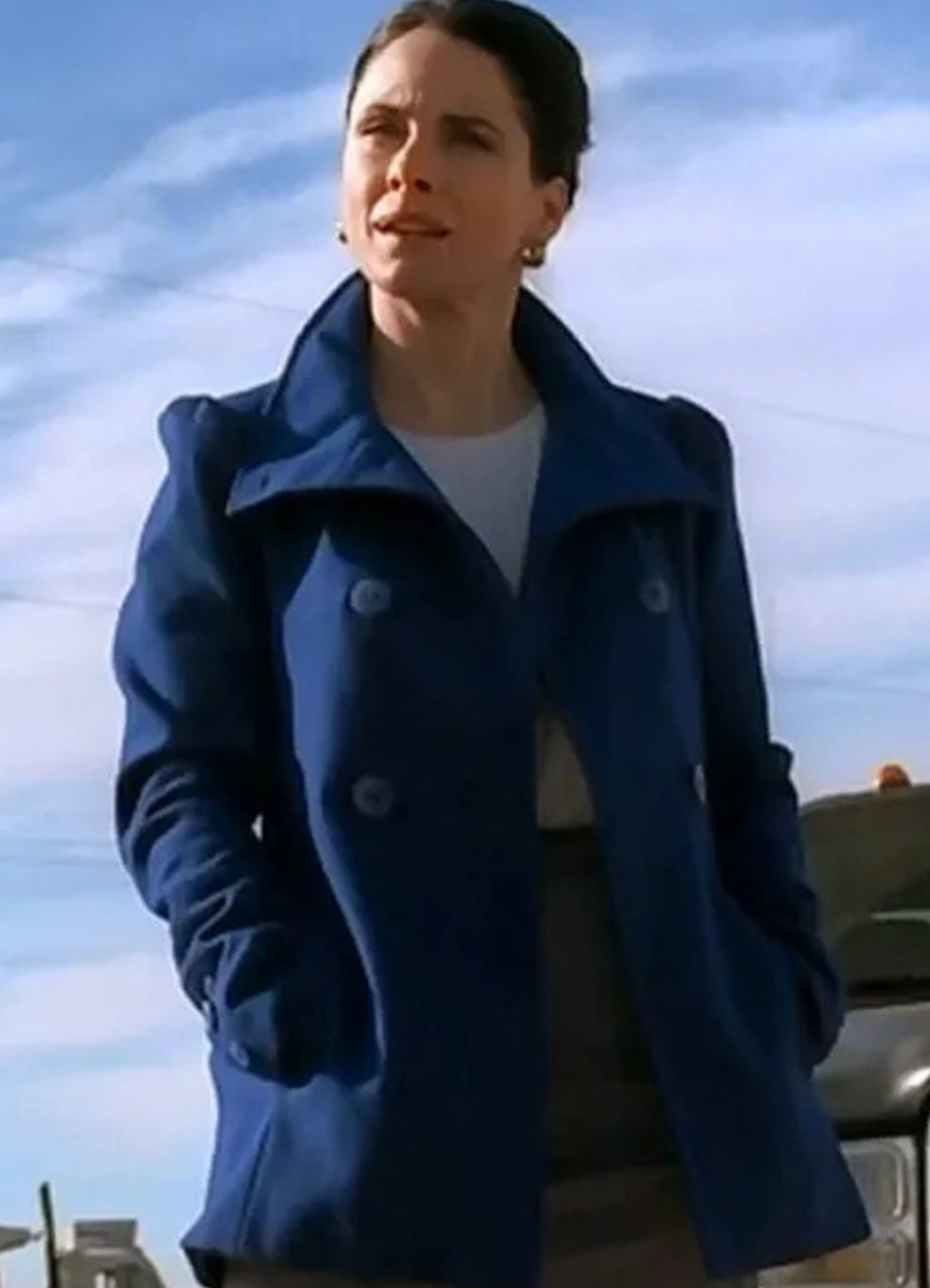 Lydia Rodarte-Quayle Breaking Bad Blue Coat
